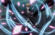 Ichigo Kurosaki vs. Gegetsuburi | Bleach Wiki | Fandom