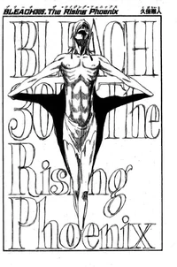 Chapitre 305 | Bleach Wiki | Fandom