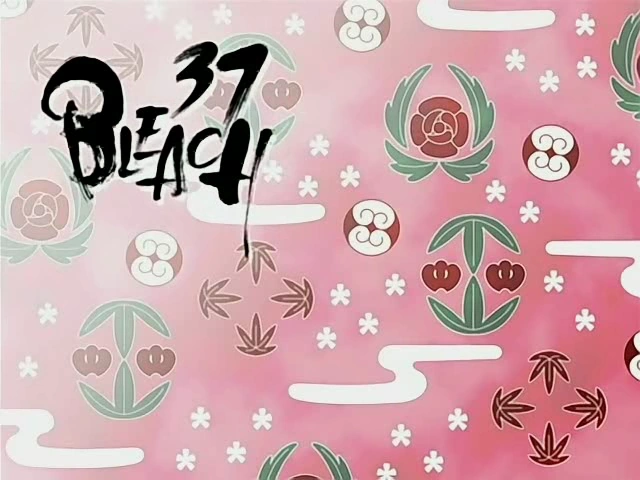 Épisode 37 | Bleach Wiki | Fandom