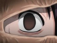 Inemuri/Image Gallery | Bleach Wiki | Fandom