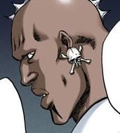 Zommari Rureaux/Image Gallery | Bleach Wiki | Fandom