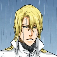 Jugram Haschwalth/Image Gallery | Bleach Wiki | Fandom