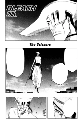 208. The Scissors | Bleach Wiki | Fandom
