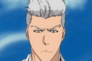 Bleach Captains And Their Lieutenants