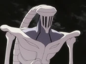 Shawlong Koufang/Galería | Bleach Wiki | Fandom