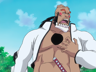Prelude to the Apocalypse, The Arrancar's Attack | Bleach Wiki | Fandom