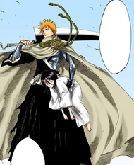 Rukia's Execution | Bleach Wiki | Fandom