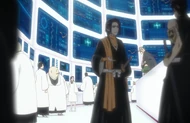 The Betrayer | Bleach Wiki | Fandom