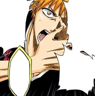 Good Bye Halcyon Days | Bleach Wiki | Fandom