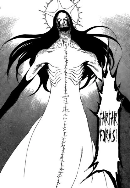 Quincy: Vollständig | Bleach Wiki | Fandom