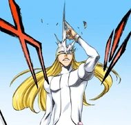 Findorr Calius/Image Gallery | Bleach Wiki | Fandom