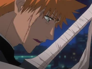 Visored! The Power of the Awakened | Bleach Wiki | Fandom