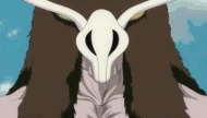 Onibi | Bleach Wiki | Fandom