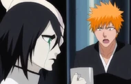 Evolution?! The Menace of the Final Sword Fiend | Bleach Wiki | Fandom