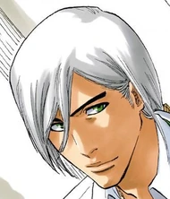 Jūshirō Ukitake | Bleach Wiki | Fandom
