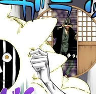 Mayuri Kurotsuchi | Bleach Wiki | Fandom