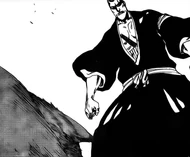 Tetsuzaemon Iba | Bleach Wiki | Fandom