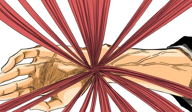 Spirit Body Fusion | Bleach Wiki | Fandom