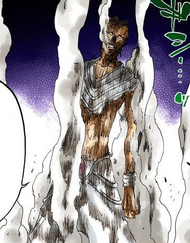 Askin Nakk Le Vaar | Bleach Wiki | Fandom