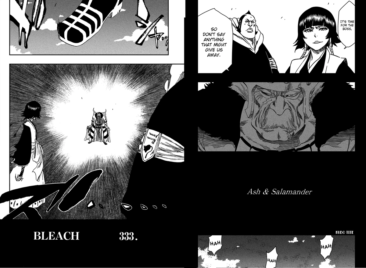 Chapitre 333 | Bleach Wiki | Fandom