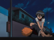 Rukia Kuchiki vs. Di Roy Rinker | Bleach Wiki | Fandom