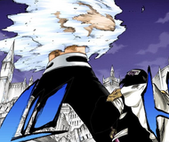 Gerard Valkyrie | Bleach Wiki | Fandom