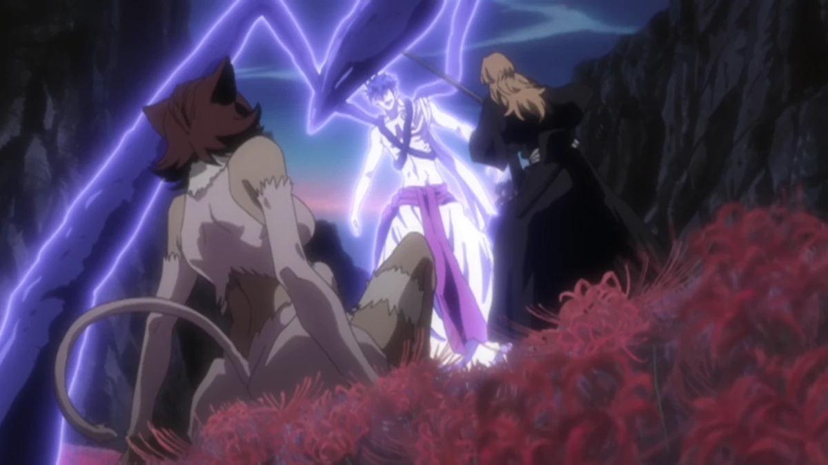 Haineko vs. Narunosuke | Bleach Wiki | Fandom