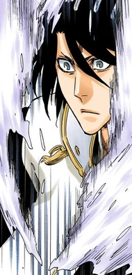 Byakuya Kuchiki vs. Äs Nödt | Bleach Wiki | Fandom