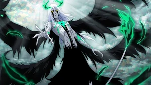 Ulquiorra/Transformações | Bleach Wiki | Fandom