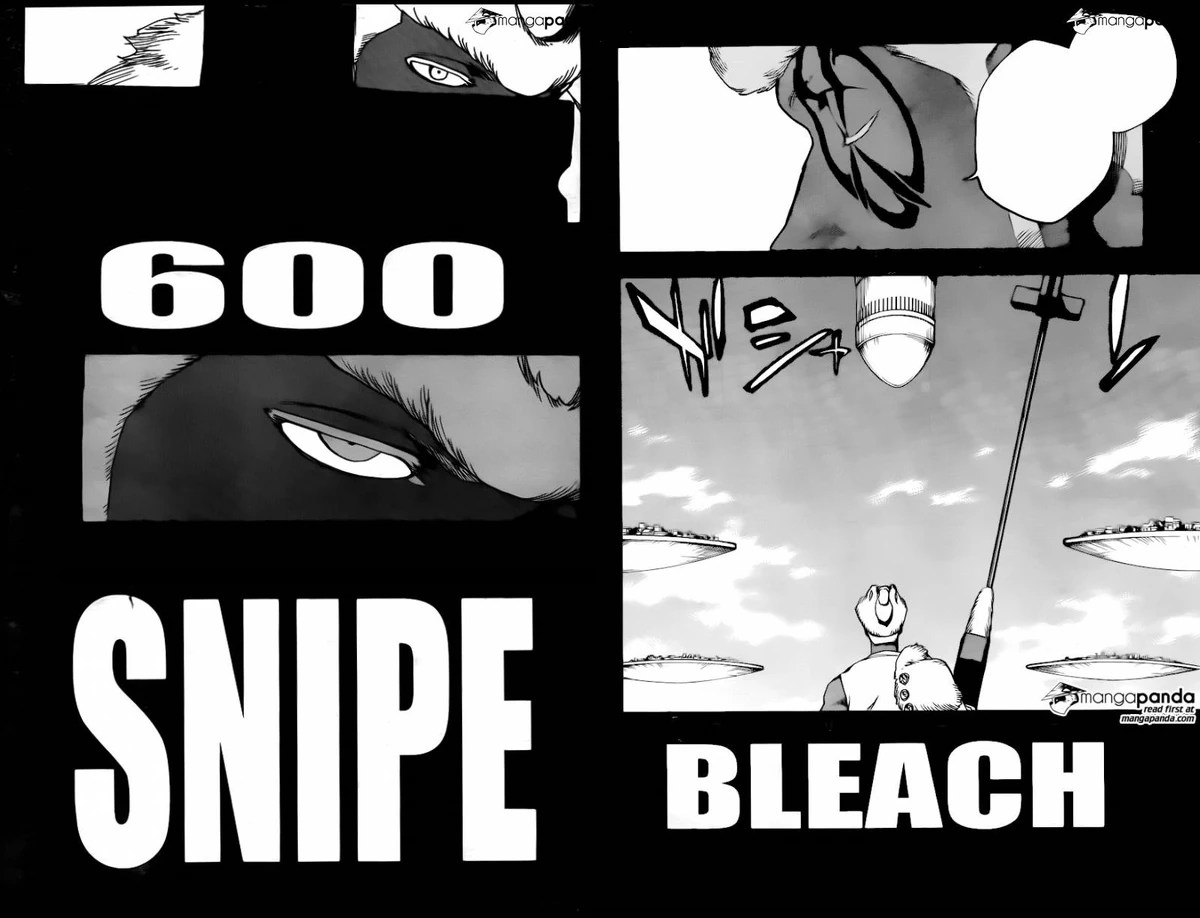 Chapitre 600 | Bleach Wiki | Fandom