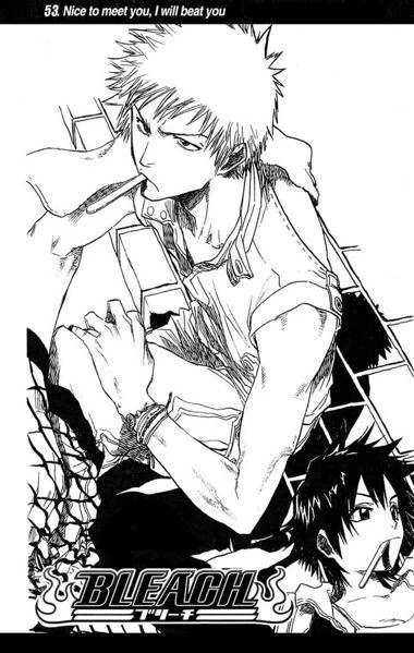 Chapitre 53 | Bleach Wiki | Fandom