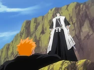 Collision! Black Bankai and White Bankai | Bleach Wiki | Fandom