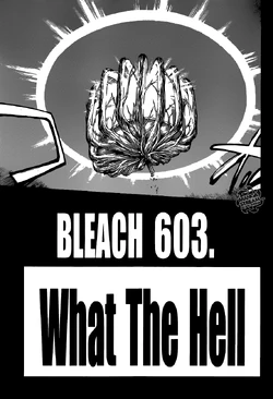 Chapitre 603 | Bleach Wiki | Fandom