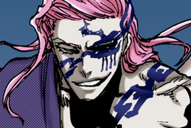 bleach shinigami illustrated picture book all