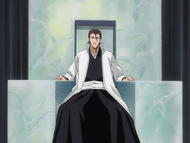 Visored! The Power of the Awakened | Bleach Wiki | Fandom