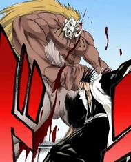 Nelliel Tu Odelschwanck vs. Nnoitra Gilga | Bleach Wiki | Fandom