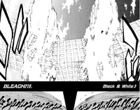 Chapitre 219 | Bleach Wiki | Fandom