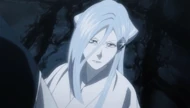Icy Wind/Image Gallery | Bleach Wiki | Fandom