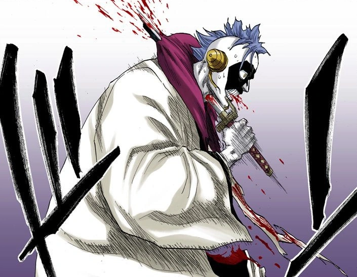 Nikushibuki/Image Gallery | Bleach Wiki | Fandom