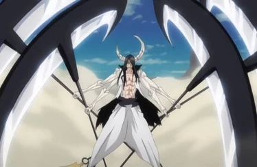 Nnoitra/Transformation | Bleach Wiki | Fandom
