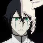 Resurrección | Bleach Wiki | Fandom