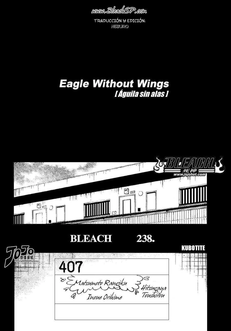 238. Eagle Without Wings | Bleach Wiki | Fandom