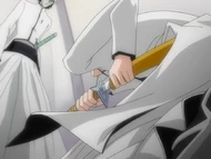 Patros's Rebellion | Bleach Wiki | Fandom