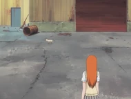 Visored Training | Bleach Wiki | Fandom