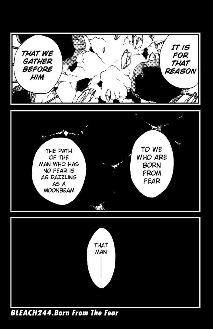 Chapitre 244 | Bleach Wiki | Fandom