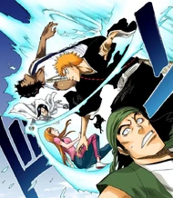 The Seireitei Infiltration | Bleach Wiki | Fandom