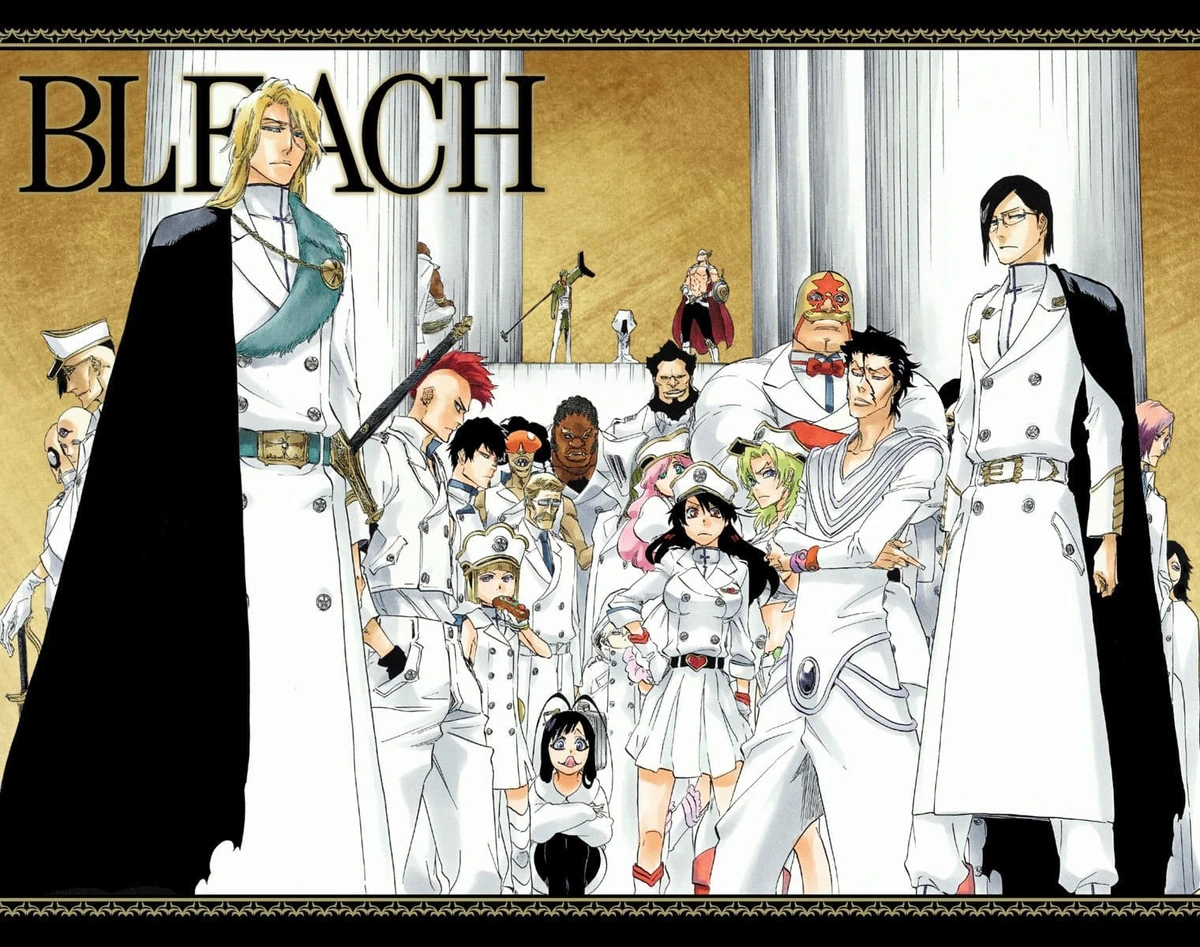 Sternritter | Bleach Wiki | Fandom