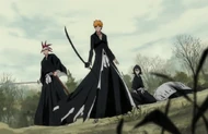 The Depleting Reiatsu! Ichigo, Death Struggle of the Soul | Bleach Wiki | Fandom