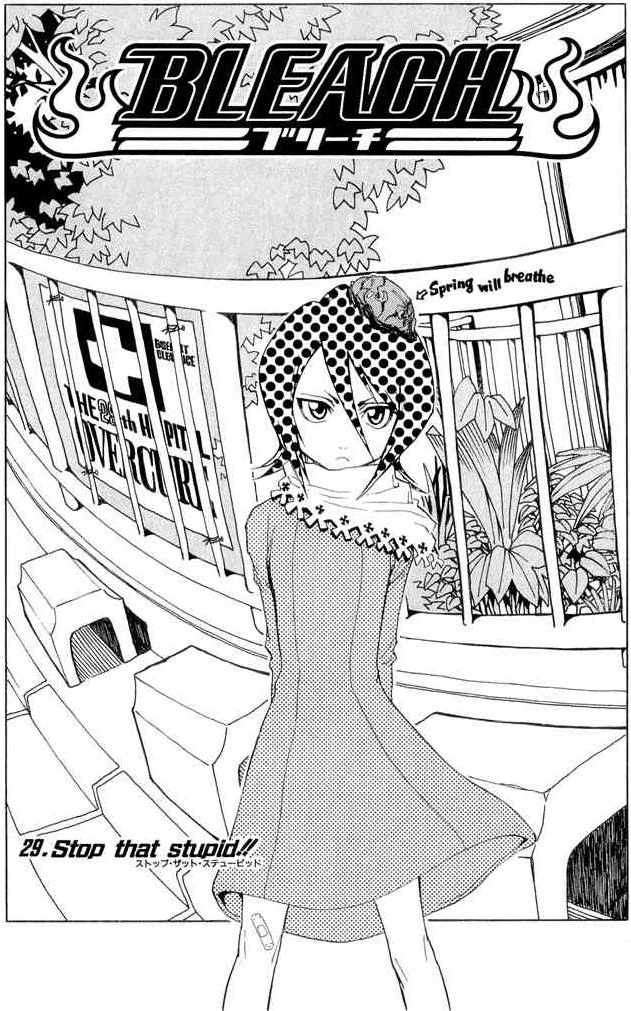 Chapitre 29 | Bleach Wiki | Fandom