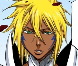 Bleach Halibel Release Form